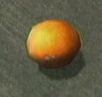 Dead Rising/Food — StrategyWiki | Strategy guide and game reference wiki