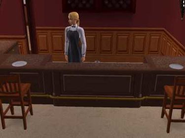 The Sims 2: Nightlife/Miscellaneous — StrategyWiki | Strategy guide and ...