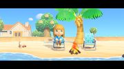 Animal Crossing: New Horizons/Camera — StrategyWiki | Strategy guide ...