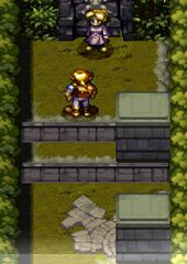 Category:The Adventures of Alundra files — StrategyWiki, the video game ...