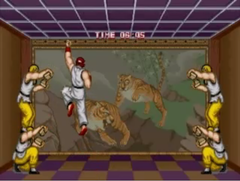 Street Fighter/Bonus Stages — StrategyWiki | Strategy guide and game ...