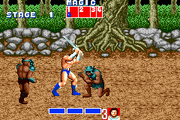 Category:Golden Axe images — StrategyWiki | Strategy guide and game ...