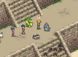 Pokémon Ranger/The Fiore Temple — StrategyWiki | Strategy guide and ...