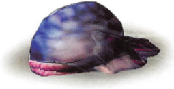 Pikmin/Enemies — StrategyWiki | Strategy guide and game reference wiki