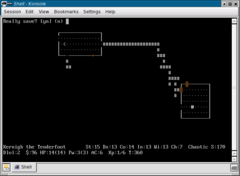 Category:NetHack images — StrategyWiki, the video game walkthrough and ...