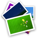 Flower/Trophies — StrategyWiki | Strategy guide and game reference wiki