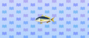 Category:Animal Crossing: New Leaf fish images — StrategyWiki, the ...