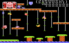 Donkey Kong Jr./Versions — StrategyWiki | Strategy guide and game ...