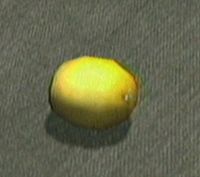 Dead Rising/Food — StrategyWiki | Strategy guide and game reference wiki