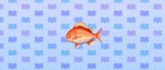 Category:Animal Crossing: New Leaf fish images — StrategyWiki, the ...