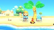 Animal Crossing: New Horizons/Camera — StrategyWiki | Strategy guide ...