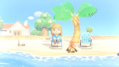 Animal Crossing: New Horizons/Camera — StrategyWiki | Strategy guide ...