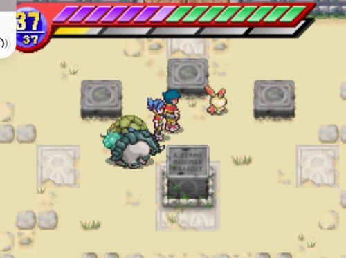 Pokémon Ranger/The Fiore Temple — StrategyWiki | Strategy guide and ...