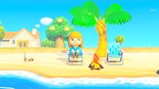Animal Crossing: New Horizons/Camera — StrategyWiki | Strategy guide ...