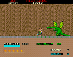 Category:Dragon Buster images — StrategyWiki | Strategy guide and game ...