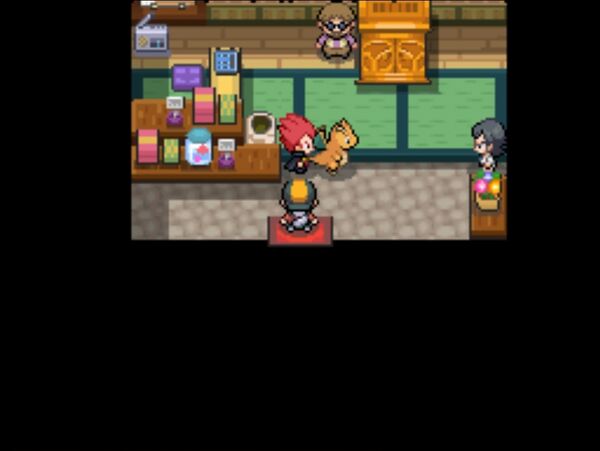Pokémon HeartGold and SoulSilver/Rocket Hideout — StrategyWiki ...