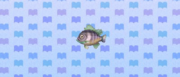 Category:Animal Crossing: New Leaf fish images — StrategyWiki, the ...