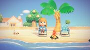 Animal Crossing: New Horizons/Camera — StrategyWiki | Strategy guide ...