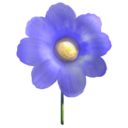 Flower/Trophies — StrategyWiki | Strategy guide and game reference wiki