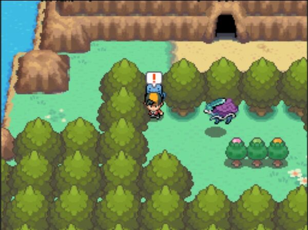 Pokémon HeartGold and SoulSilver/Route 42 — StrategyWiki | Strategy ...