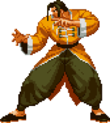 Category:Garou: Mark of the Wolves images — StrategyWiki | Strategy ...