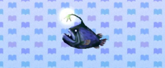 Category:Animal Crossing: New Leaf fish images — StrategyWiki, the ...