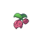 Pokémon Diamond and Pearl/Route 204 and Ravaged Path — StrategyWiki ...
