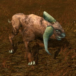 Star Wars: Knights of the Old Republic/Courtyard — StrategyWiki ...