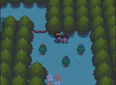 Pokémon HeartGold and SoulSilver/Routes 36 and 37 — StrategyWiki ...