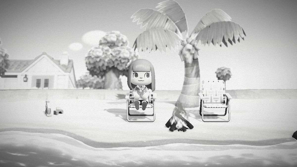 File:ACNH Camera Monochrome.jpg — StrategyWiki | Strategy guide and ...