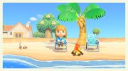 Animal Crossing: New Horizons/Camera — StrategyWiki | Strategy guide ...