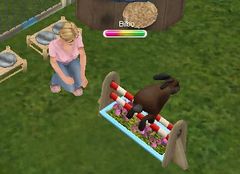 Pawly Pets: My Animal Hospital/Caring for the Animals — StrategyWiki ...