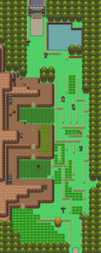 Pokémon Diamond and Pearl/Route 214 — StrategyWiki | Strategy guide and ...