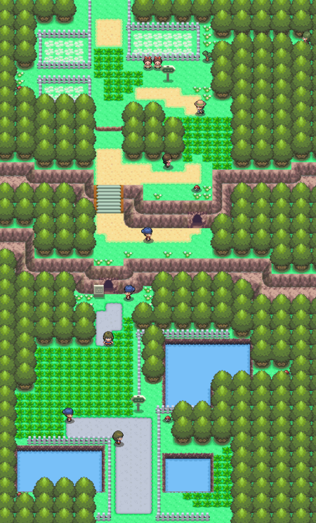 Pokémon Diamond and Pearl/Route 204 and Ravaged Path — StrategyWiki ...
