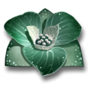 Flower/Trophies — StrategyWiki | Strategy guide and game reference wiki