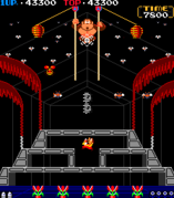 Category:Donkey Kong 3 images — StrategyWiki | Strategy guide and game ...