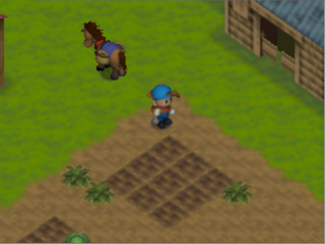 File:HM64 Screenshot 4.png — StrategyWiki, the video game walkthrough ...