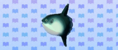 Category:Animal Crossing: New Leaf fish images — StrategyWiki, the ...