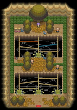 Pokémon HeartGold and SoulSilver/Azalea Town — StrategyWiki | Strategy ...