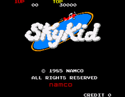 Sky Kid — StrategyWiki, the video game walkthrough and strategy guide wiki