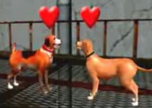 Dog's Life/Finale — StrategyWiki | Strategy guide and game reference wiki