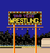 Tag Team Wrestling — StrategyWiki | Strategy guide and game reference wiki