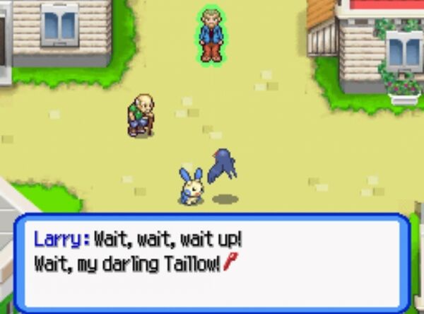 Pokémon Ranger/Escort the Professor! — StrategyWiki | Strategy guide ...