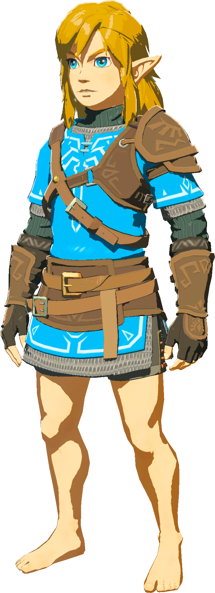 Champion's Tunic - Zelda Wiki