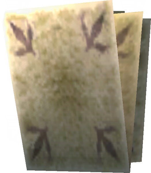 Ashei's Sketch - Zelda Wiki