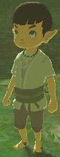 Nebb - Zelda Wiki