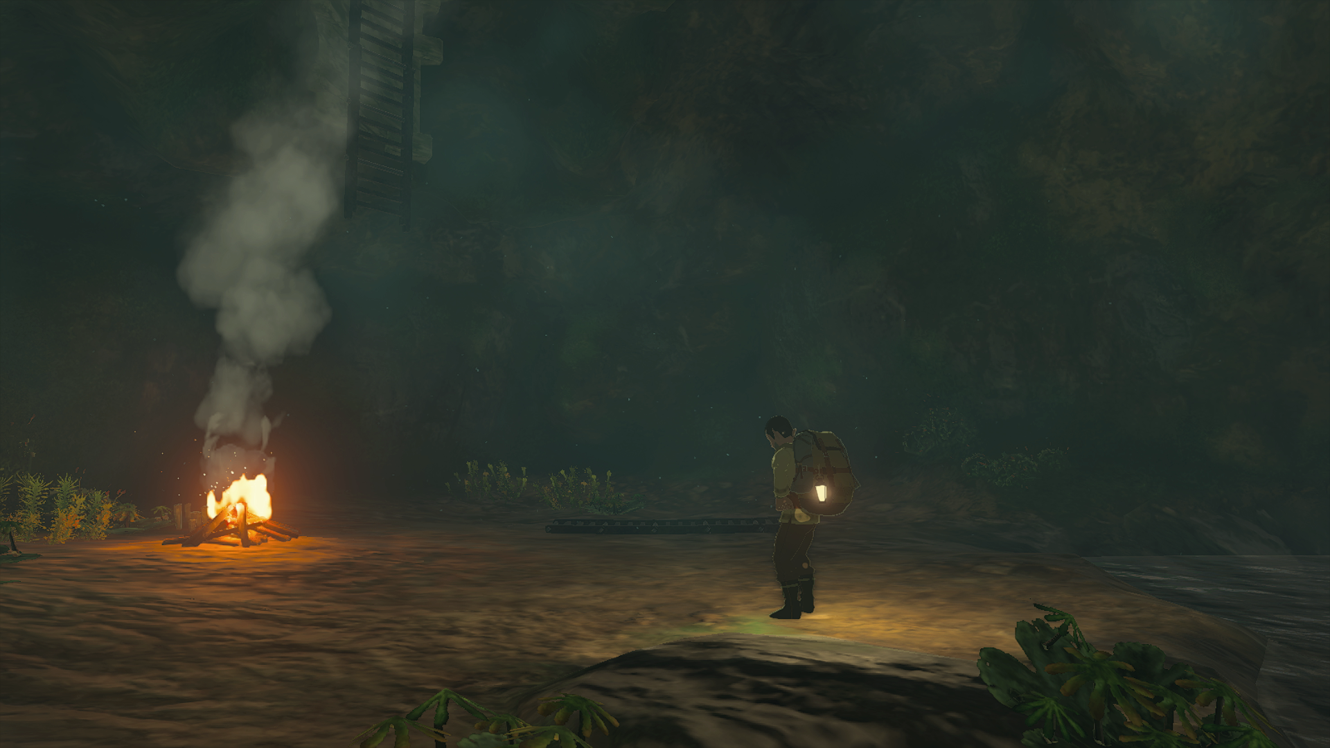 Fell into a Well! - Zelda Wiki