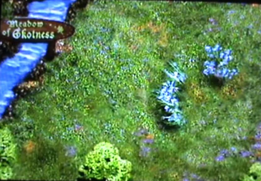 Meadow of Skotness - Zelda Wiki