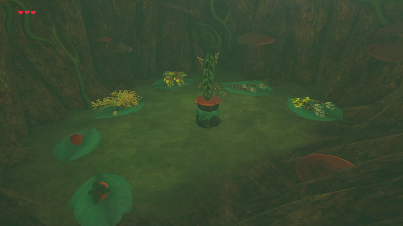 General Shoppe - Zelda Wiki