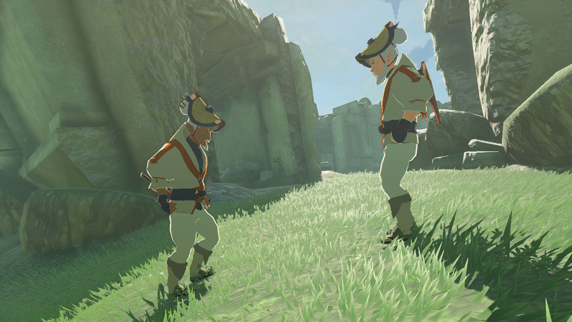 Codgers' Quarrel - Zelda Wiki